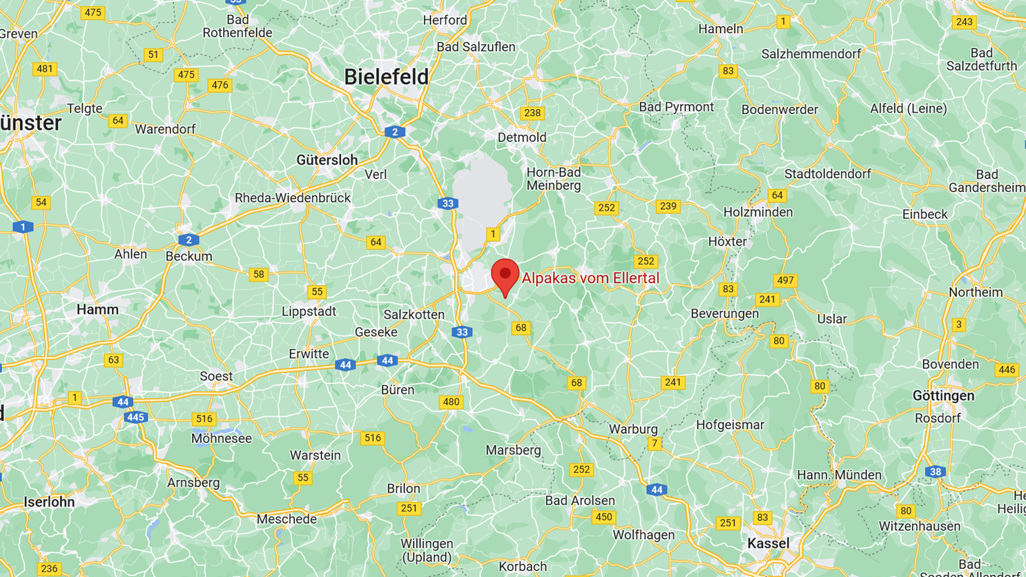 Herzlich Willkommen bei Alpakas vom Ellertal | Paderborn